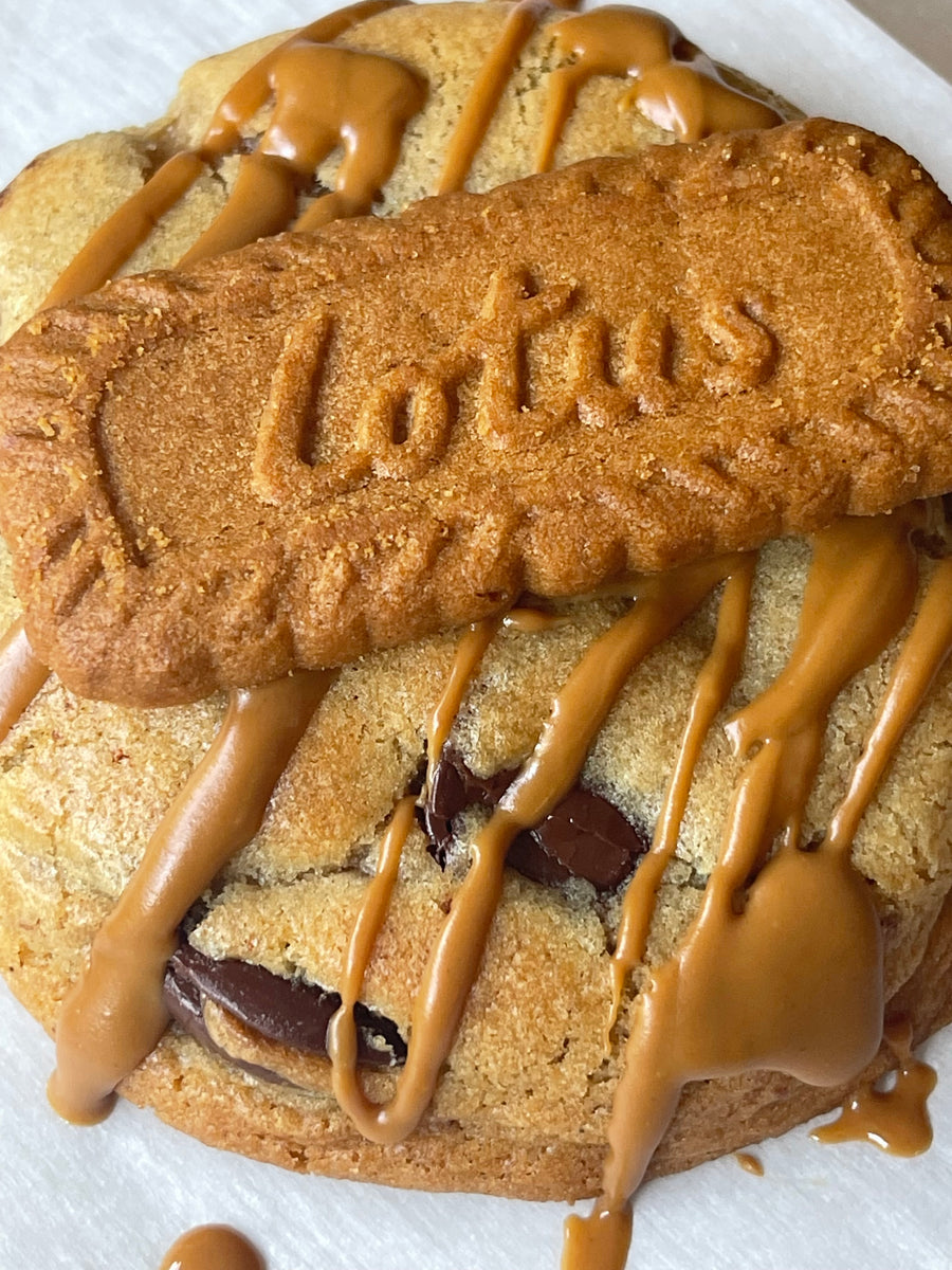 Biscoff Chocolate Chip 6 ct. Box – AB! Cookie Company