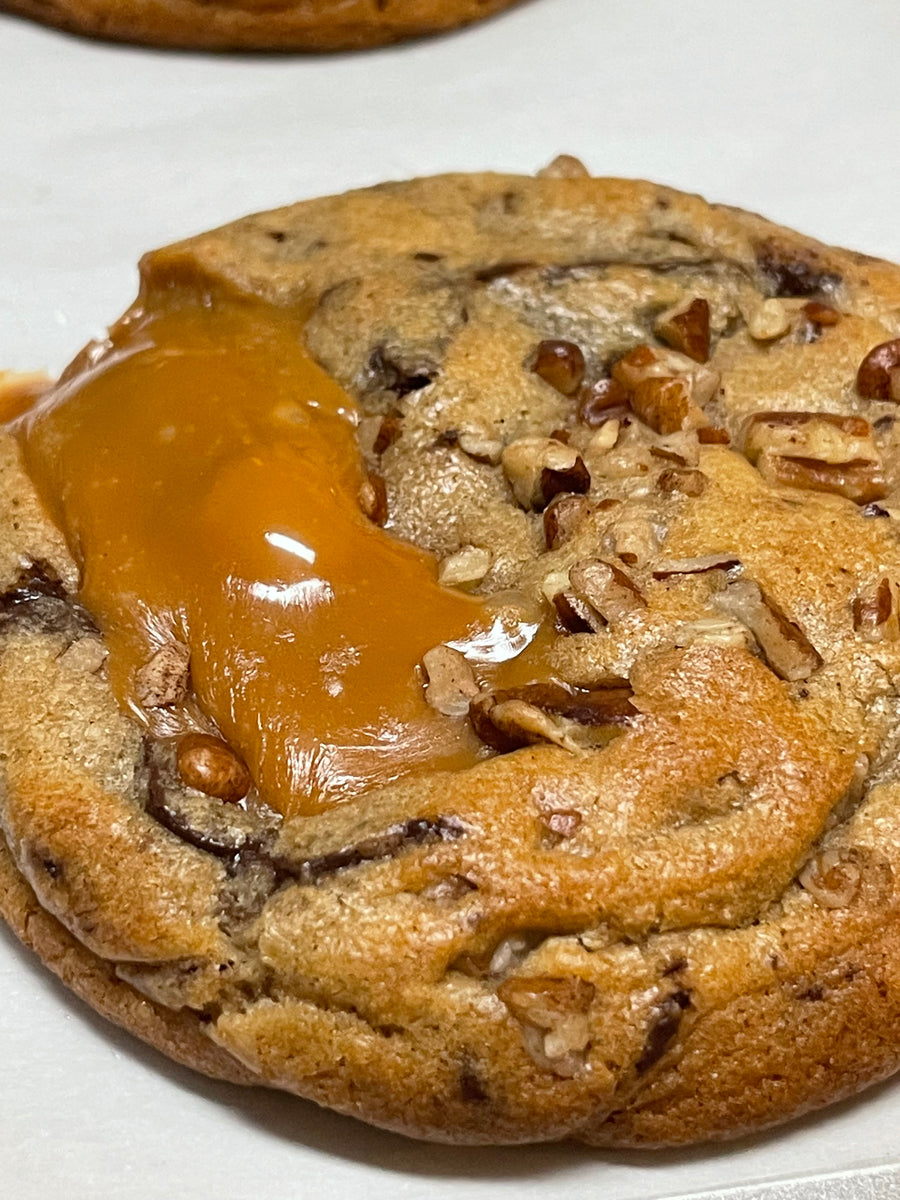 Turtle 6 Count – AB! Cookie Company